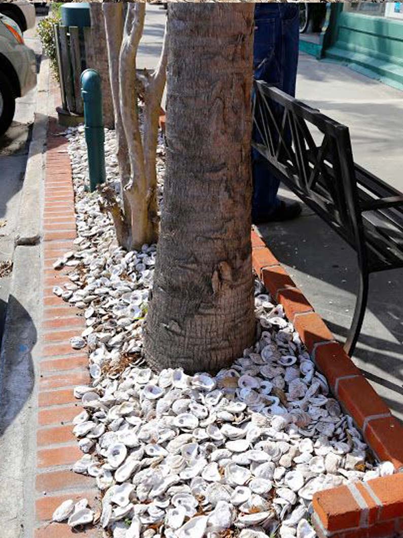 Crushed Oyster Shells for Landscaping | Bulk Landscaping Shells ...