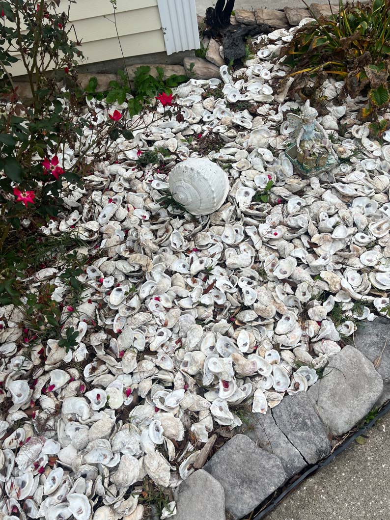 Crushed Oyster Shells for Landscaping | Bulk Landscaping Shells ...